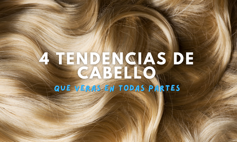 Las 4 tendencias en cabello que verás en todas partes esta temporada ...