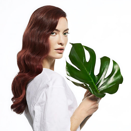 Pichara – Pichara Perú